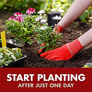 Spectracide Weed & Grass Foaming Edger (17 oz), 1 Count