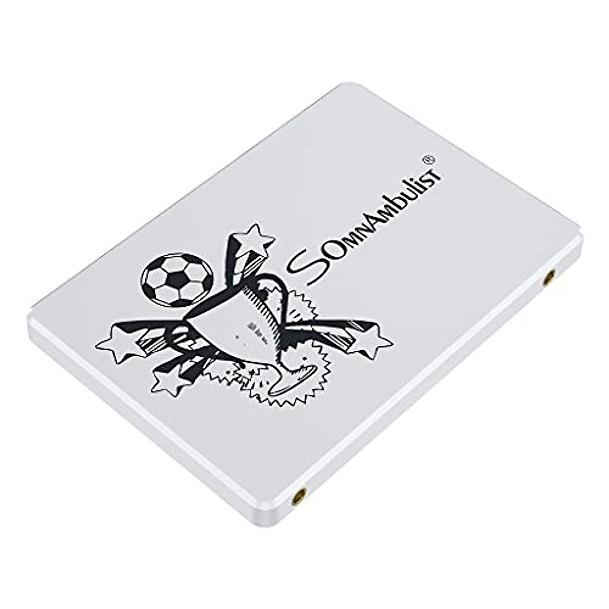 Somnambulist 2.5 sata ssd 120gb 240gb 480gb 960gb 2tb HDD ssd 60gb Solid State Drive Suitable for Desktop Laptop (White Trophy 2TB)
