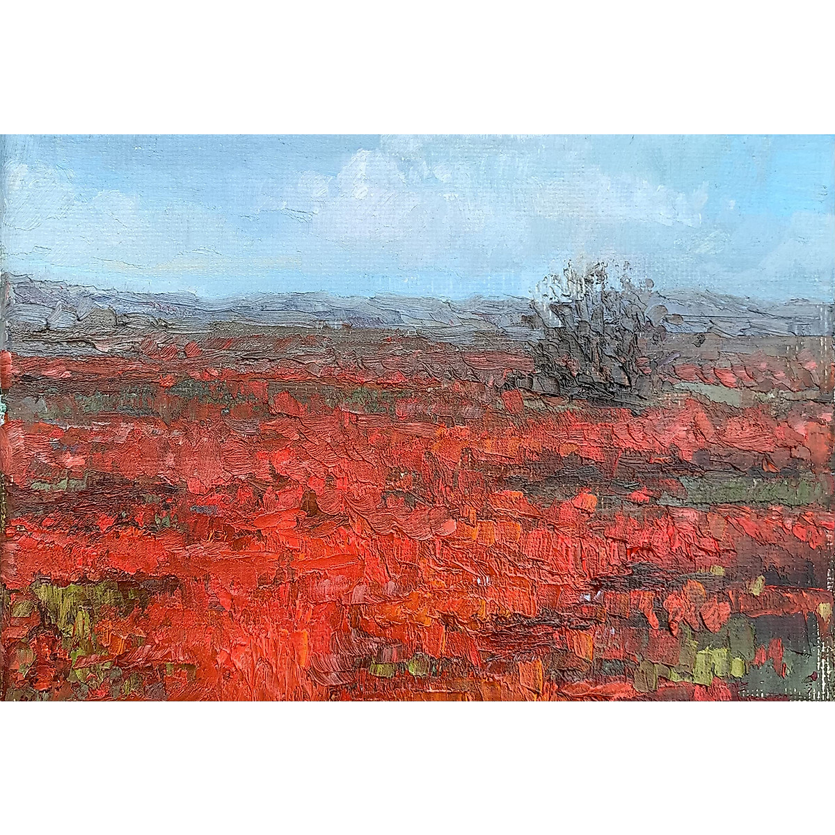 RoseArt Premium Oil Paint - Set 12 Colors, Maximum Strength Pigmented Oil Paints for Professionals, Students,