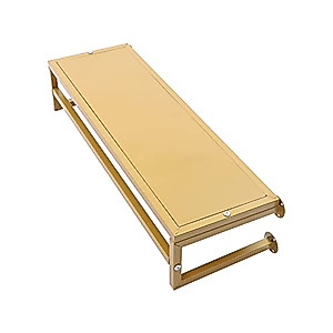 Gdrasuya10 Wall Mounted Clothes Rack with Top Shelf, Gold Garment Rack Display Rack Metal Cloths Rack Space-Saving Clothing Storage Rack for Commercial Home, 31.49 x 10.23 x 6.69 In