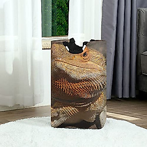 Laundry Basket Bearded Dragon Large Collapsible Laundry Hamper With Handle Self Standing Portable Fabric Folding Dirty Washing Bin Storage Tote Bag