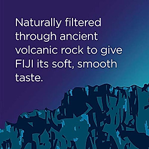 FIJI Natural Artesian Water, 16.9 Fl Oz (Pack of 24)