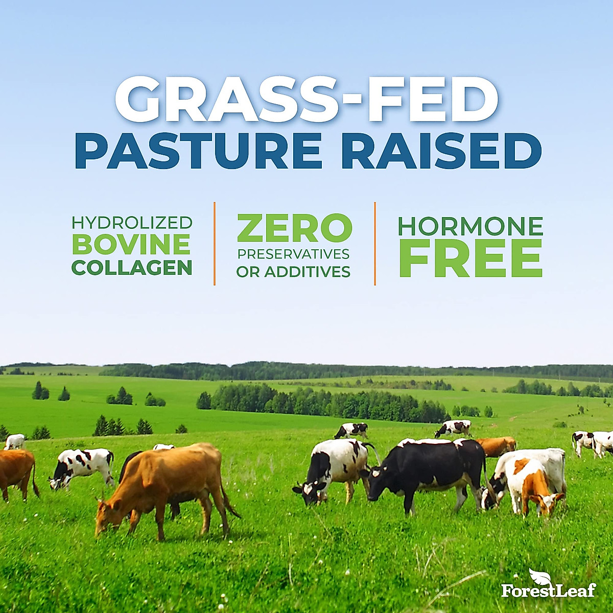 Collagen Peptides Powder Unflavored - Hydrolyzed Collagen Protein Powder Type 1, 2 & 3 - Grass Fed Keto Collagen Powder for Women & Men - Vital Hair, Skin, Nails, Joints, Recovery, 11g Per Serving