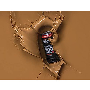 Black Rifle Coffee Ready To Drink 15 Fl Oz (Rich Mocha, 12 Count) 300mg of Caffeine Per Can, 100% Columbian Coffee, Gluten Free, Good Source of Protein, Helps Support Veterans and First Responders