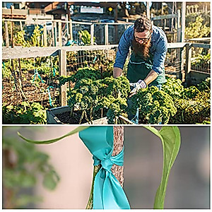 TELENT OUTDOORS Stretch Tie Tape, 1” Wide 200FT Reusable Garden Plant Ties Green Tapes for Plants, Thick Garden Vinyl Stake Ribbon for Branches Flowers Tomatoes Indoor Outdoor Greenhouse