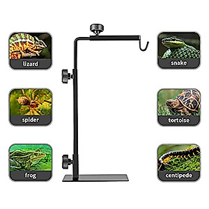 BOURDSERK Reptile Lamp Stand, Adjustable 16-31 Inch Domes Heat Lamp Metal Bracket Floor Light Holder for Reptile Terrarium Lighting Heating Light and Dome lampshade, Large