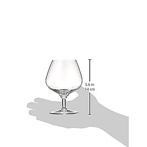 Luigi Bormioli Michelangelo Masterpiece 13-1/4-ounce Napoleon Brandy, Set of 4