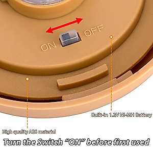 Hwishare Solar Lights Outdoor, 4Pack Solar Torch Light with Flickering Flame Waterproof Garden Tiki Torches for Outside