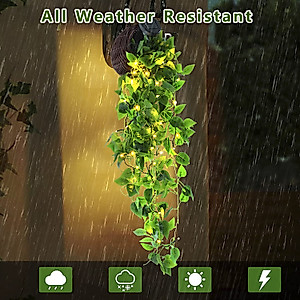 2 Pack Solar Watering Can Lights Garden Decor, Waterproof Solar Fairy Lights Hanging Solar Lantern Lights for Patio, Landscape, Pathway, Flower Bed, Gardening Gifts - 8 Modes (Lvy)