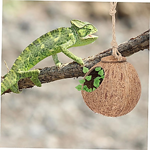 TEHAUX 4pcs Lizard Coconut Nest Pet House Natural Pigeon Bird House Crested Gecko Hide Parrot Cage Cages Bird Hut Pet s Coconut Shell Reptile Pet Nest Bird Cage Rope Hamster