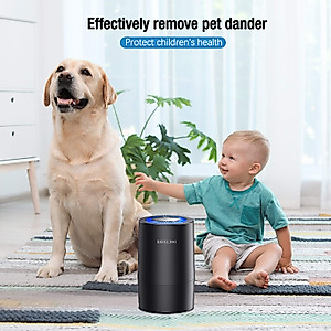 RIGOGLIOSO Portable Air Purifier,Air lonizer,USB Air Cleaner, True Hepa Homes Air Purifier Replacement Filter, Models GL2103/SY900S Filter