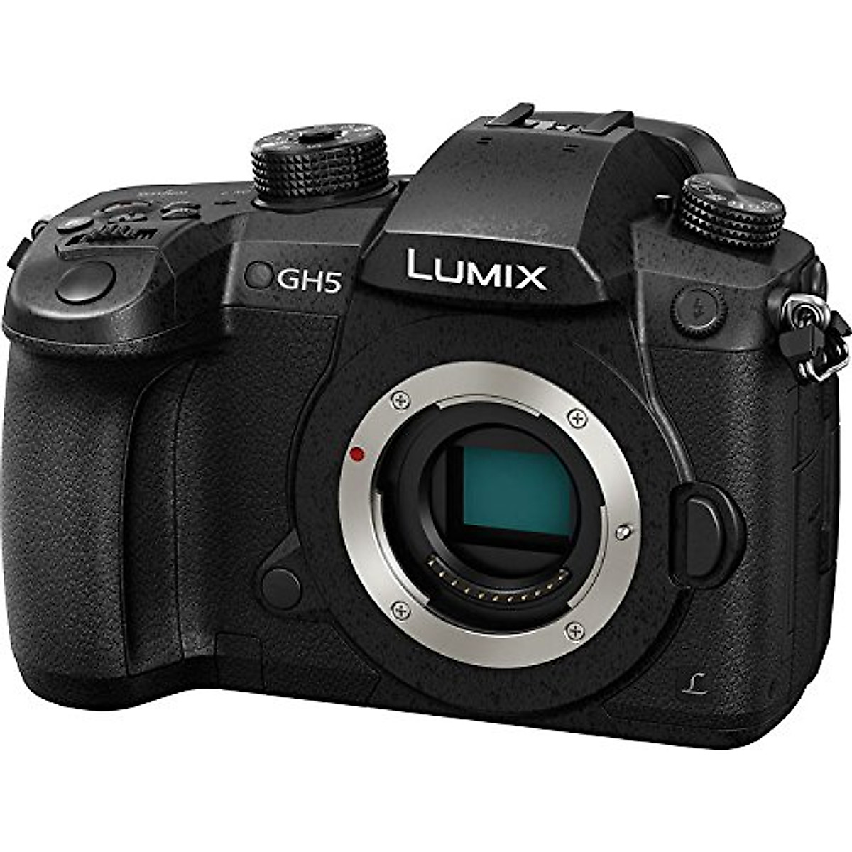Panasonic Lumix DC-GH5 Mirrorless Micro Four Thirds Digital Camera + Atomos Ninja V 5" 4K HDMI Recording Monitor 14PC Bundle – Includes 64GB SD Memory Card + MORE - International Version (No Warranty)
