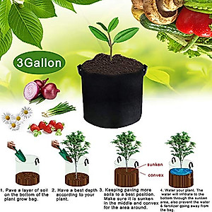 JES&MEDIS 12-Pack 3 Gallon Plant Grow Bags Thick Aeration Non Woven Fabric Flower Vegetable Pots with Handles Garden Container Black (3 Gallon_12 Pack)