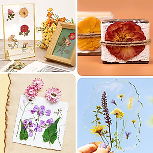 Aboofx Extra Large Flower Press Kit, 10.8" x 10.8" 10 Layers Wooden Flower Pressing Kit with Storage Bag, Flower Pressing Kit for Adults, DIY Pressed Flower Plant Preservation Kit