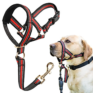 BARKLESS Muzzle Leash for Heavy Pullers, No Pull Stylish Head Halter for Medium Large Aggressive Dogs, Gentle Dog Face Harness Stops Pet Pulling and Choking on Walks, Adjustable Head Collar (XL, Red)