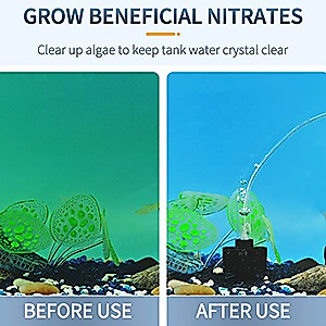 Pawfly Aquarium Nano Bio Sponge Filter Quiet Fry Betta Shrimp Foam Filter Kit with Airline Tubing for Small Fish Tank up to 3 Gallon