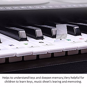 Keyboard or Piano Stickers, Really Useful Piano Poster Environmentally Friendly Transparent Piano Key Stickers for Piano Beginner(T to 31WM)