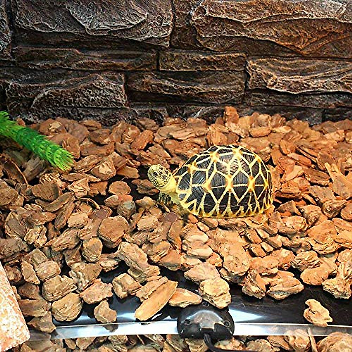 Hamiledyi 14W Reptile Heating Pad,Warmer with Temperature Adjustment Control Under Tank,Terrarium Heater Mat for Gecko,Turtle,Tortoise,Snakes,Lizard,11x11 in(2 Pcs)