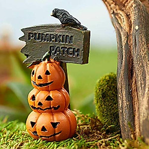 N?A Miniature Fairy Garden Halloween Pumpkin Patch Sign for Fairy Garden Accessories, Fairy Garden Animals, Dollhouse, Plant Pots, Bonsai Craft Décor