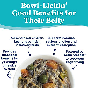 Solid Gold Wet Dog Food Topper & Meal Cups - All Ages, Puppy & Senior Wet Dog Food Small Breed & Large Breed, Sensitive Stomach Wet Dog Food - for Digestion, Chicken, Beef & Pumpkin, 3.5oz Pack of 6