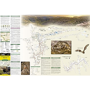 Carlsbad Caverns National Park Map (National Geographic Trails Illustrated Map, 247)