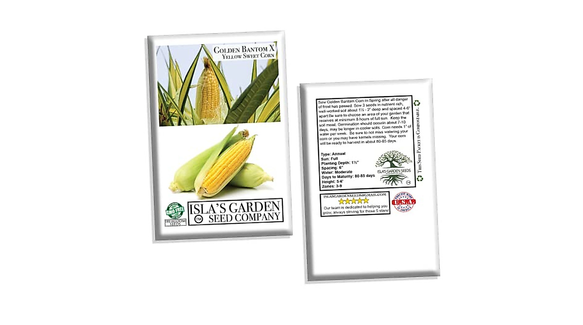 Golden X Bantom Corn Seeds - Heirloom Sweet Corn for Home Garden