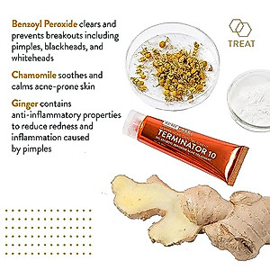 AcneFree Terminator 10 Acne Spot Treatment with Benzoyl Peroxide 10% Maximum Strength Acne Cream Treatment, 1 Ounce - Pack Of 1