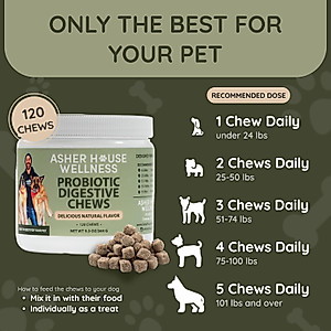 Asher House Wellness Probiotics Digestive Chew for Dogs - Dog Probiotic, Digestive Enzymes for Gut Health & Digestion - Pet Chews for Diarrhea, Upset Stomach, Allergies, Itchy Skin Relief, 120 Chews