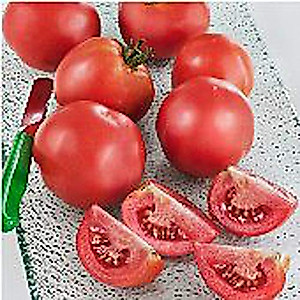 Early Girl Tomato Seeds (20+ Seeds) | Non GMO | Vegetable Fruit Herb Flower Seeds for Planting | Home Garden Greenhouse Pack