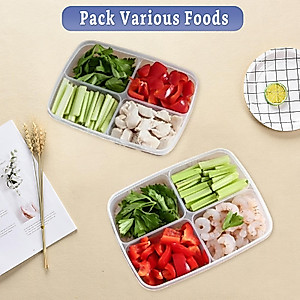 MUXHEL 8 Pcs 4 Compartment Food Storage Containers with Lids, BPA-Free Divided Serving Tray Container Reusable, Plastic Freezer Storage Containers for Storing Fruits, Vegetables, Meat
