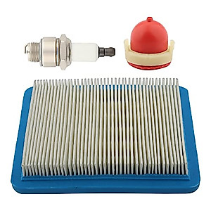 Panari 497314 799868 Carburetor for Briggs & Stratton 14111 498170 497314 497586 498254 498255 498966 Craftsman 625 6150 Engine with 491588s Filter