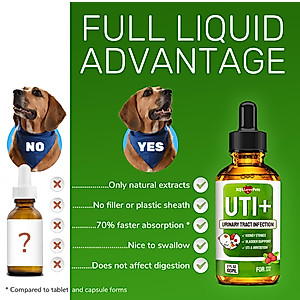Dog UTI Treatment ✿ Cat UTI Remedy ✿ Dog Urinary Tract Infection Treatment ✿ Cat Urinary Supplement ✿ Bladder + Kidney Support for Cats & Dogs ✿ UTIs and Bladder Stones ✿ Natural Cranberry Supplement