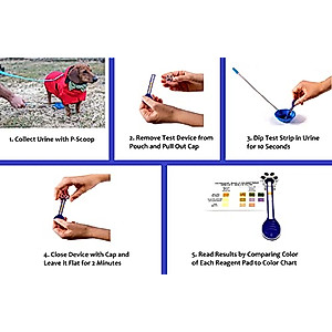 PawCheck UTI Test Kit for Dogs with Reusable P-Scoop Telescopic Urine Collector