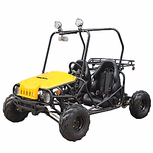 110cc Youth Go Kart Kids Go Cart Gokart 2 Seater Go Kart with Gloves, Google and Handgrip (Black)