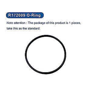 R172009 Chlorine Feeder o Ring Replaces Pool/Spa Filter suitable for Pentair Rainbow Models 300/320 O-283 2/packs