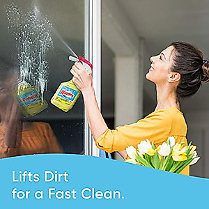 Windex Disinfectant Cleaner - Multisurface Spray Bundle, Includes a 23 fl oz Spray and a 32 fl oz Refill, Works on Kitchen and Bathroom Counters and More, Citrus Fresh Scent