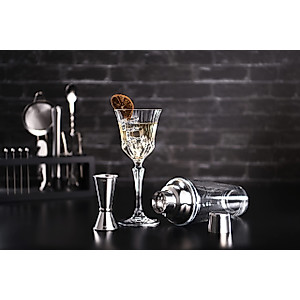 TAHAILIN Cocktail Shaker Set with Stand,Martini Shaker Printed with Recipes,13-Piece Bartender Kit,Professional Bar Tools Bartending Set,Home Bar Set,Drink Mixing.