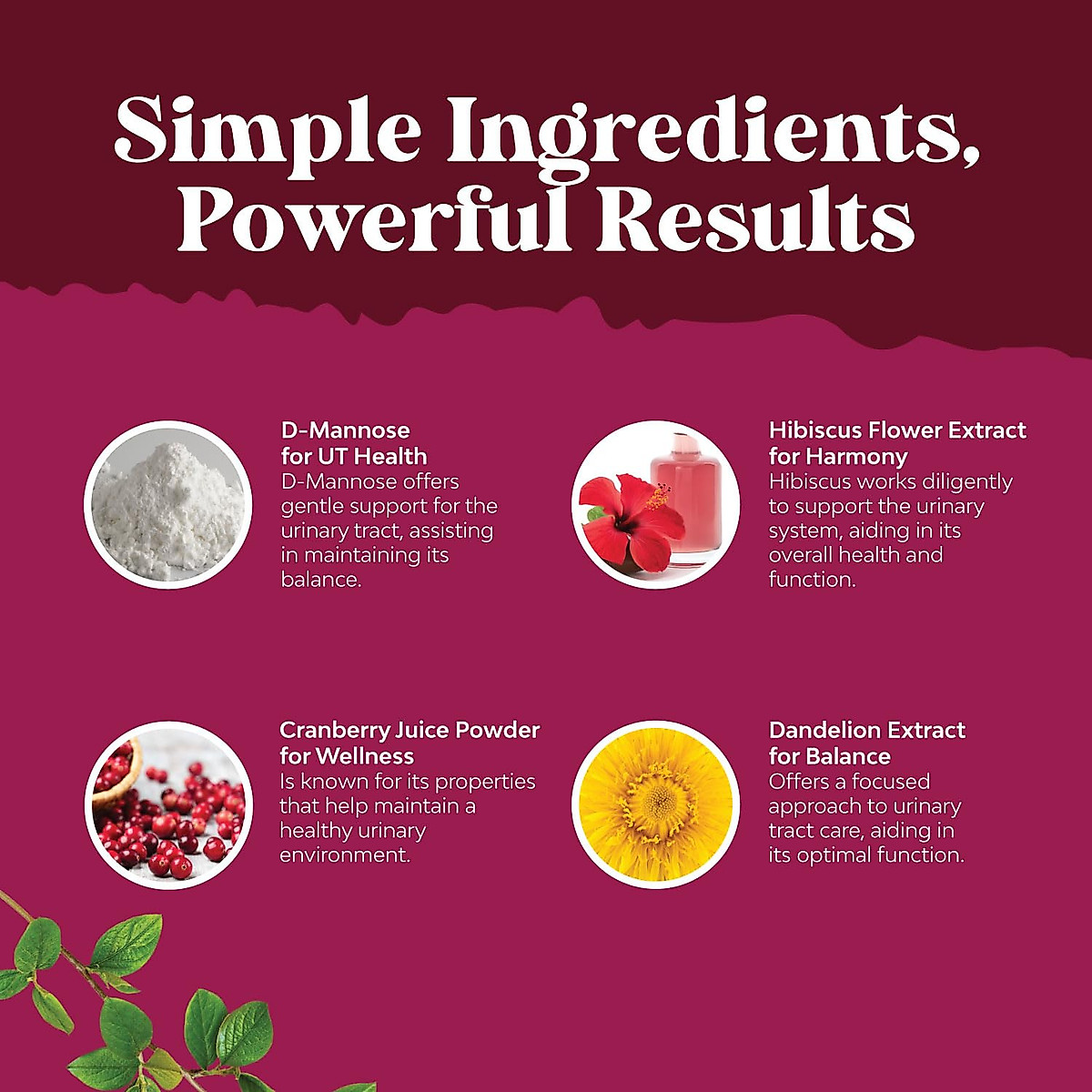 D Mannose with Cranberry Extract Capsules - D Mannose Capsules for Kidney Cleanse and Urinary Tract Health for Women - D-Mannose 1000mg Capsules Per Serving with Hibiscus & Dandelion (1 Month)