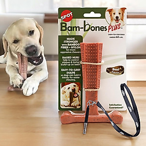moofin Bam Bones for Dogs, Plus T Bone, 6 inch Chew Toy, Bundle SS Pet Training Whistle, Beef Flavored Dog Bones for Aggressive Chewers, Ideal for Dogs Under 60lbs~ [Pack of 5]