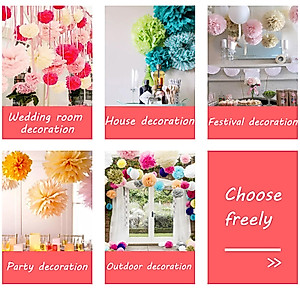 Pink Paper Pom Poms - 10",12" Tissue Pom Poms Decorations for Bachelorette Baby Shower Girl Party Hanging Decor - 12 Piece Set