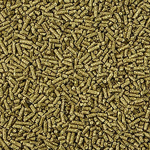 Kaytee Timothy Complete Rabbit Food 4.5 lb