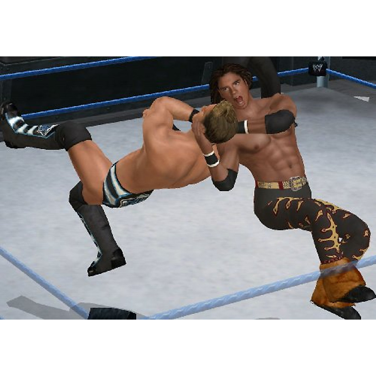 WWE SmackDown vs. Raw 2010 - Nintendo Wii