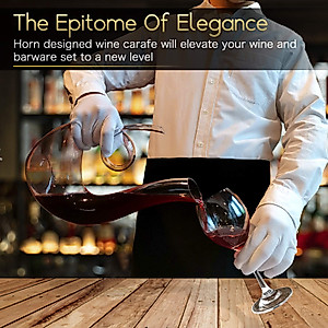 NUTRIUPS Wine Decanter Swan Red Wine Decanters Hand Blown Wine Decanter and Carafe Decanter for Wine