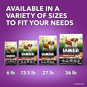 IAMS Advanced Health Immune Health Adult Dry Dog Food Chicken & Exclusive Superfoods Medley Recipe, 13.5 lb. Bag