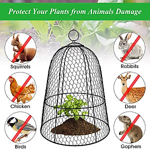6 Pack Garden Chicken Wire Cloche,19" x 14" Large Plant Protector Cover for Keeping Squirrels,Rabbits,Bunny Chickens Bird Small Animals Out Garden Decoration Wire Plants Dome Metal Cloches-Black