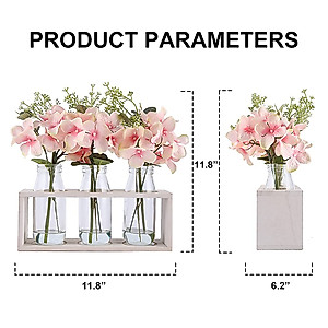 hehimhis Desktop Glass Planter Vase with Wooden Stand for Hydroponics Plants Decor for Home Office Garden Wedding, Pink
