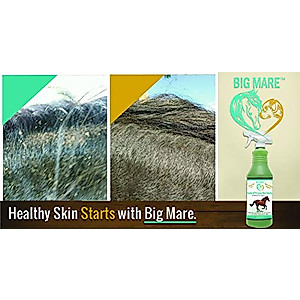 Big Mare All Purpose Horse Skin & Wound Care | 32oz Bottle | First Aid: for Girth Itch, Crud, Itchy Manes & Tails & Hair Loss | Veterinarian Approved & Recommended