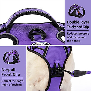 IVY&LANE No Pull Dog Harness for Small Dogs, Dog Vest Harness with Leash, Safety Belt and Storage Strap, Fully Adjustable Harness, 360° Reflective Strip, Soft Handle (Purple, S)