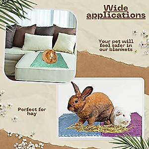 (8+1) 8 Soft Blankets for Guinea Pig Reusable Washable and 1 Animal Hair Remover, Hamster Cage Fleece Liners Small Pets Bunny Rabbit Absorbent Bedding Mat Sleep Blanket Bed for Puppy 11.8"x11.8"