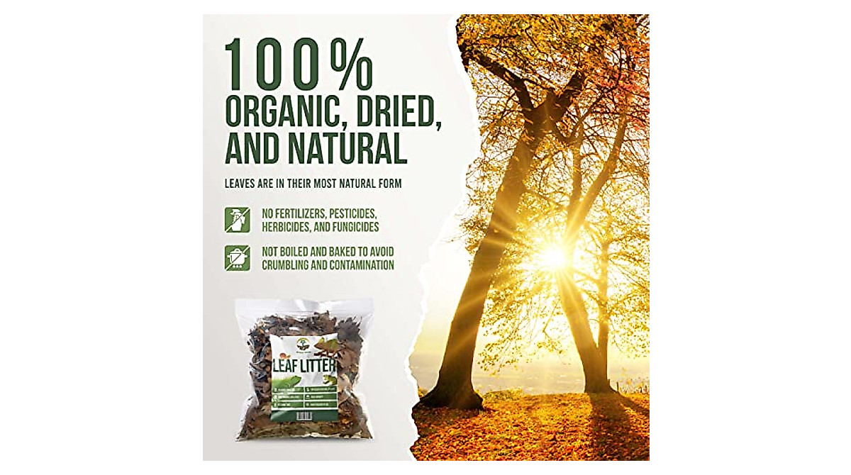 Organic Oak Leaf Litter - 4 Quarts for Terrariums